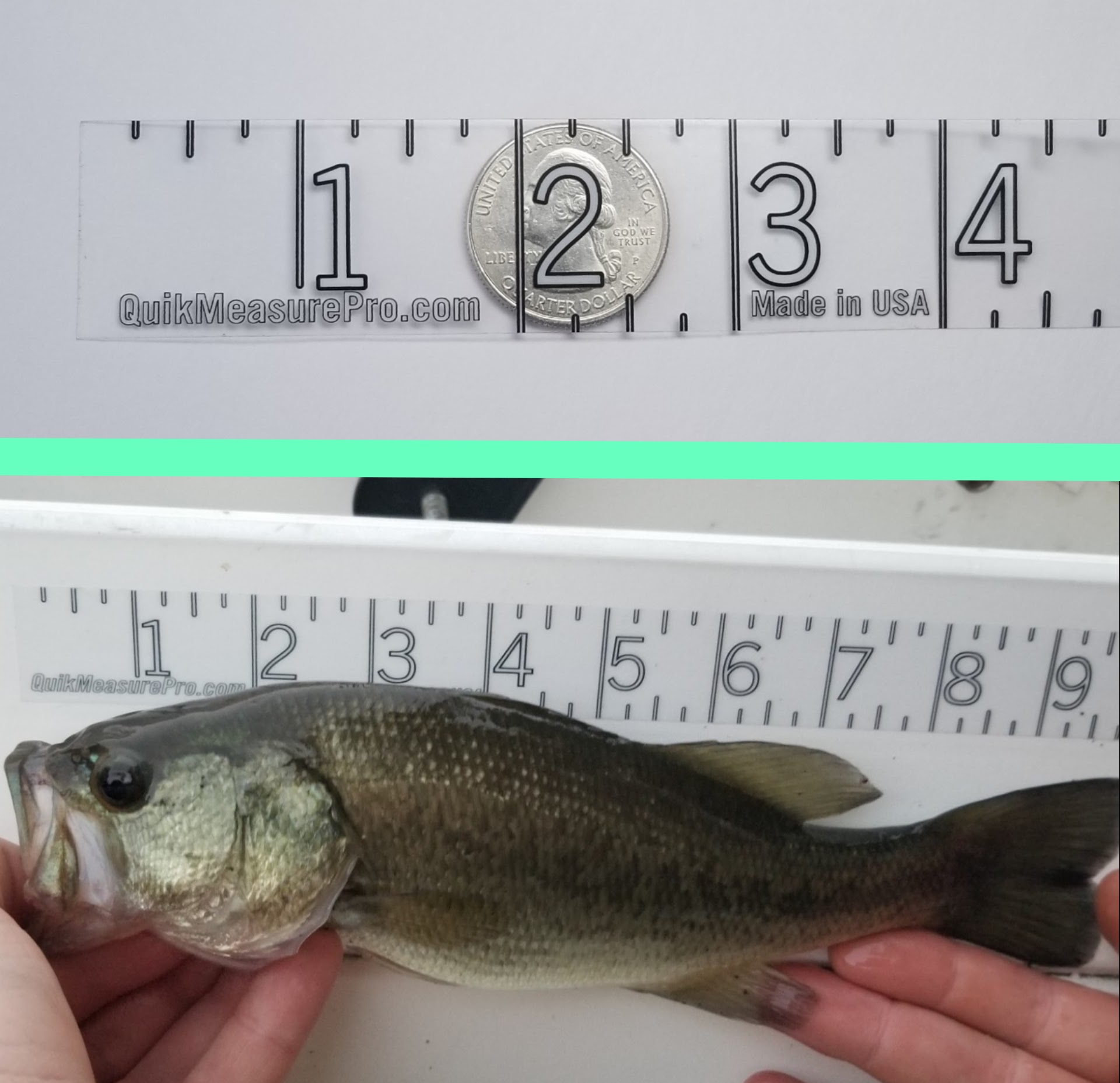 Amazon.com: Quik Measure Pro: About