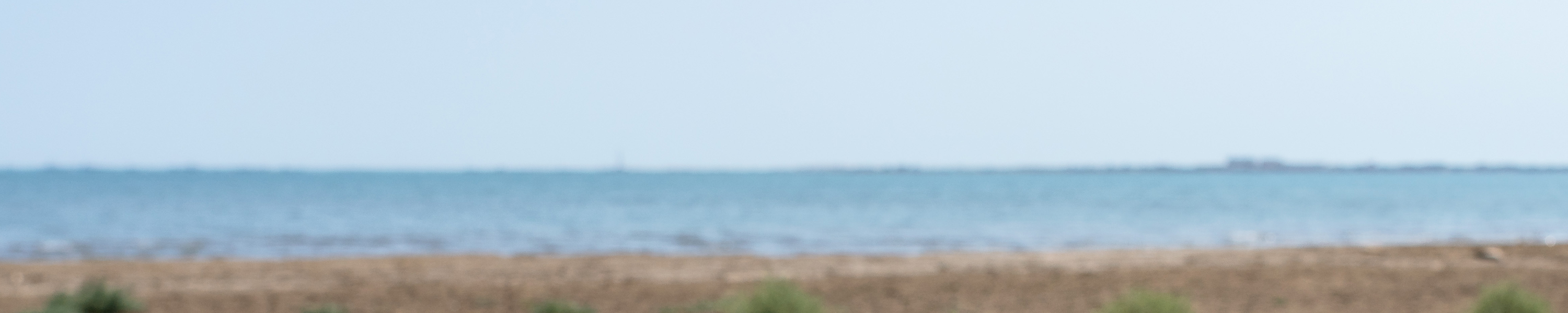 Amazon.com: RANFEN Toys