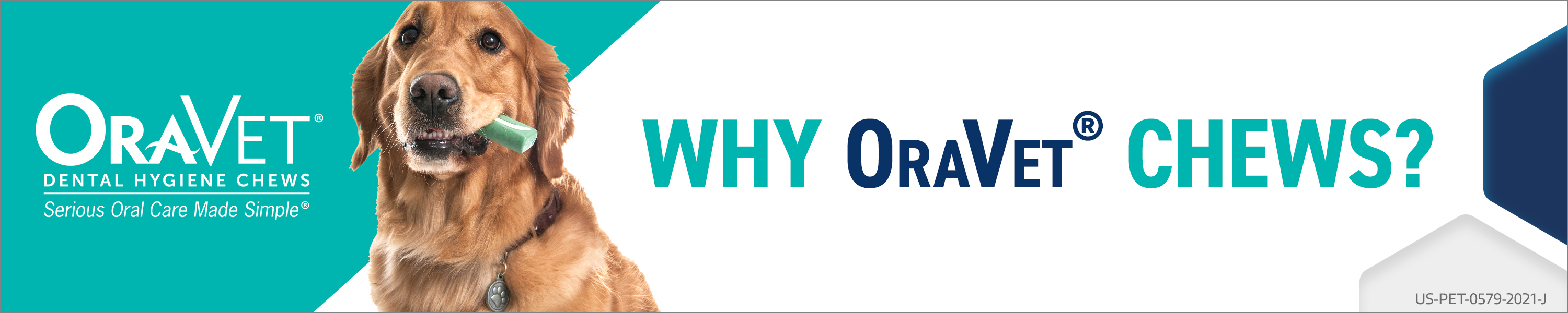 Amazon.com: OraVet: Why OraVet