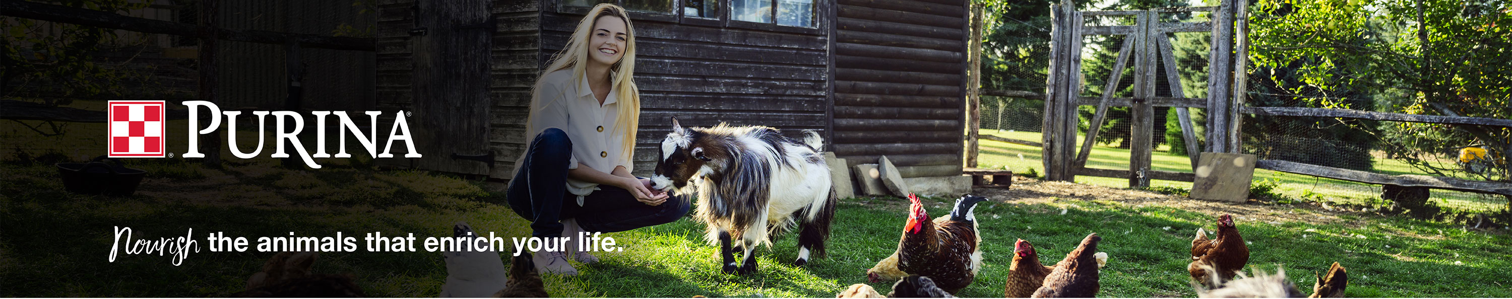 Amazon.com: Purina Animal Nutrition: Treats