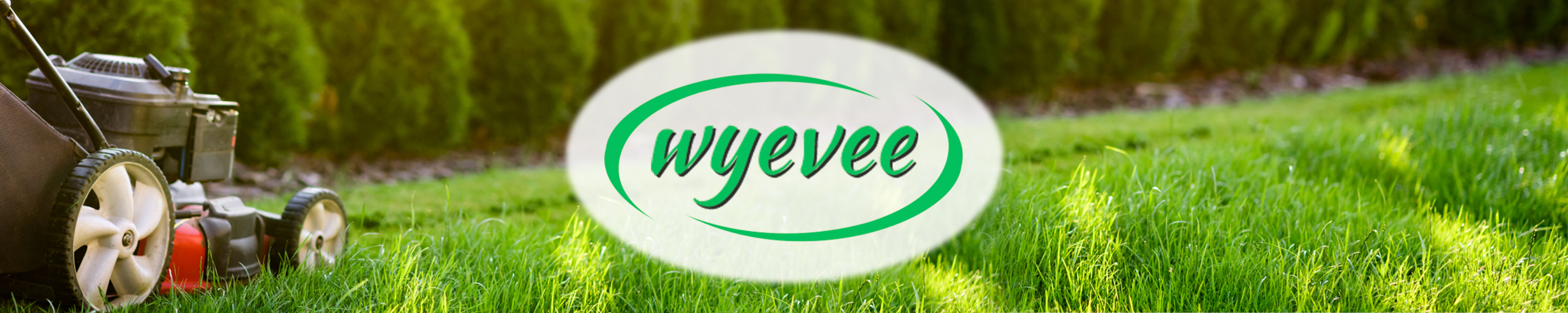 Amazon.com: wyevee : Pulley Series