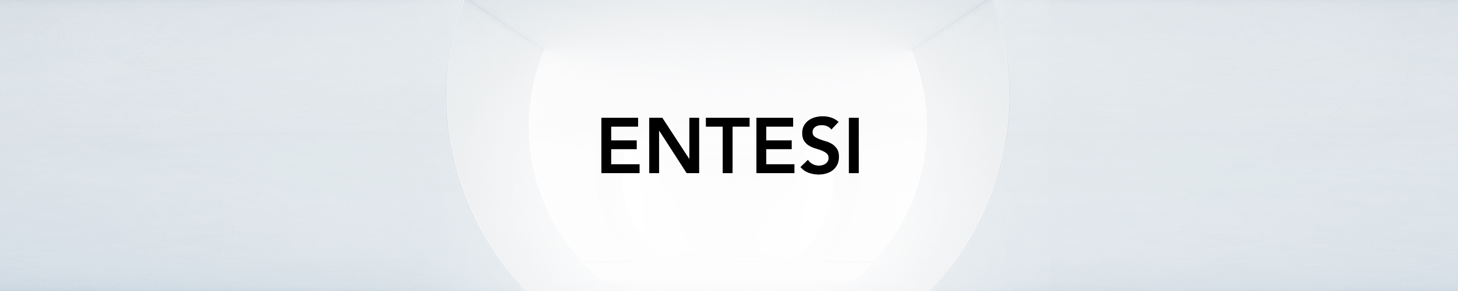 Amazon.com: ENTESI