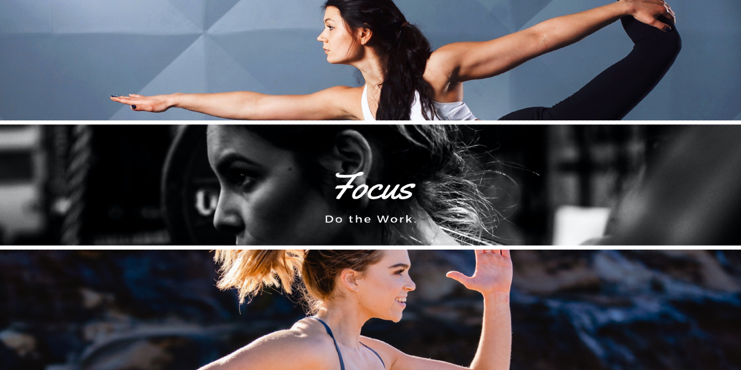 Amazon.com: Focus DTW