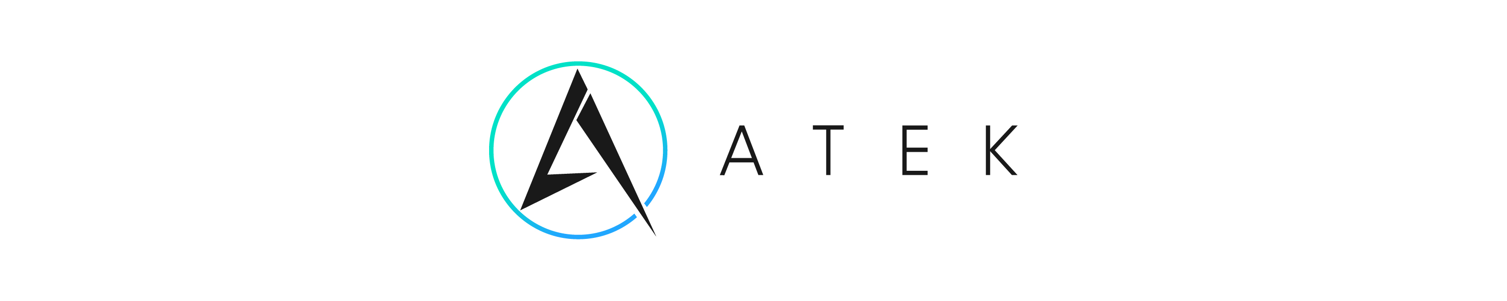 Amazon.com: ATEK