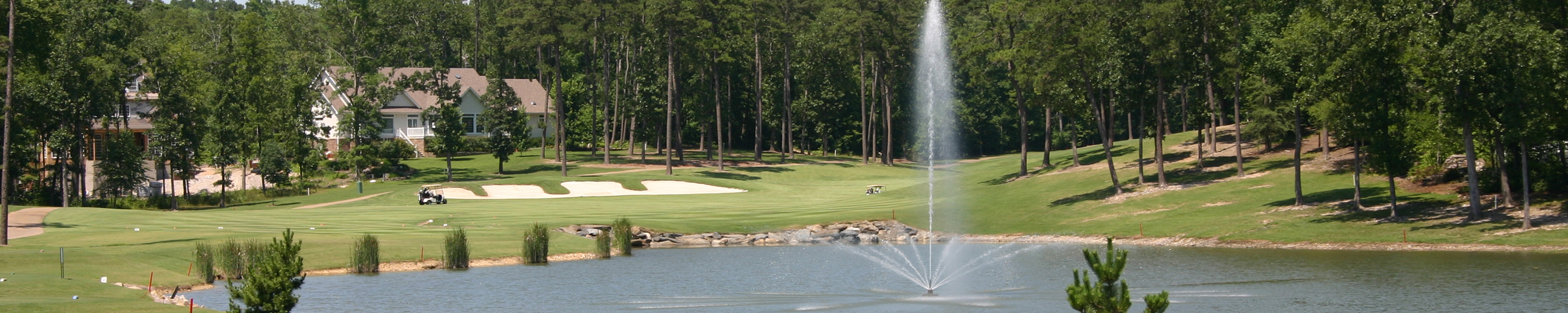 Amazon.com: YIN SONG