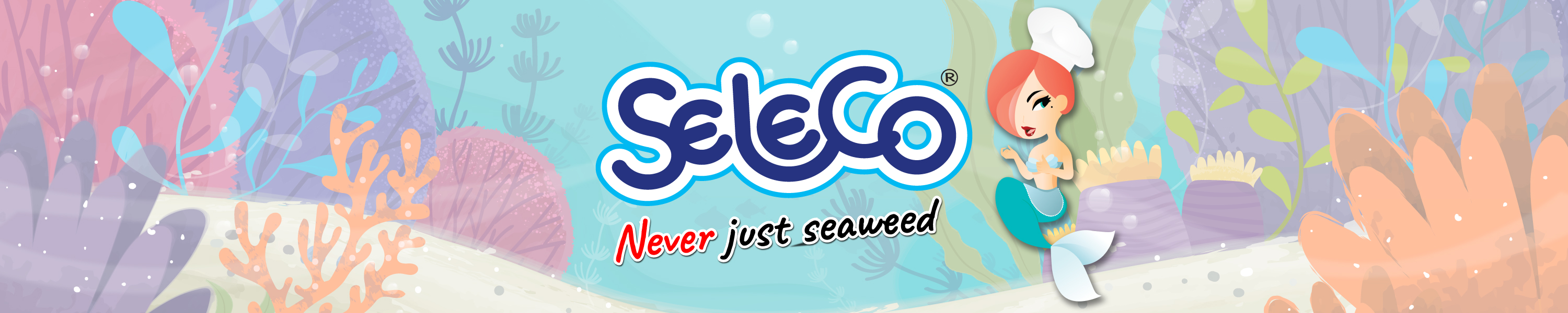Amazon.com: Seleco Seaweed: Seleco SEA Sandwich