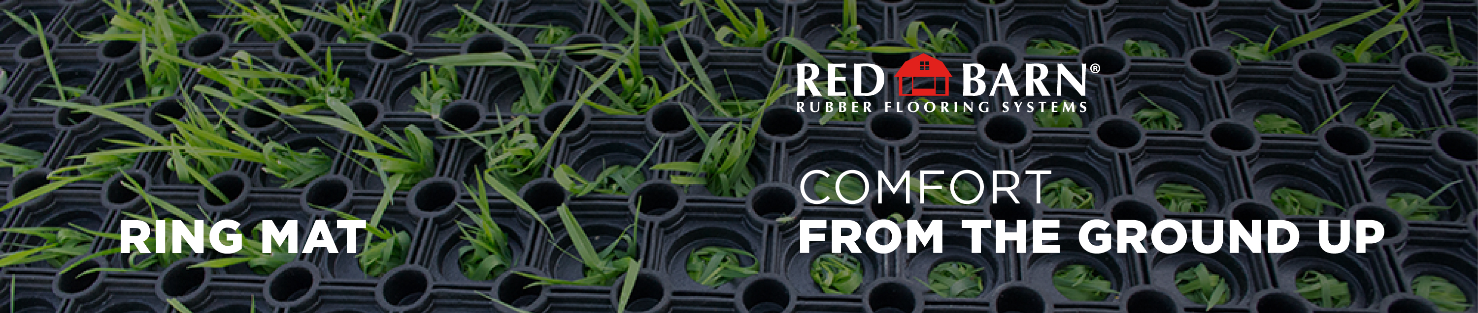 Amazon.com: Red Barn: Ring Mat
