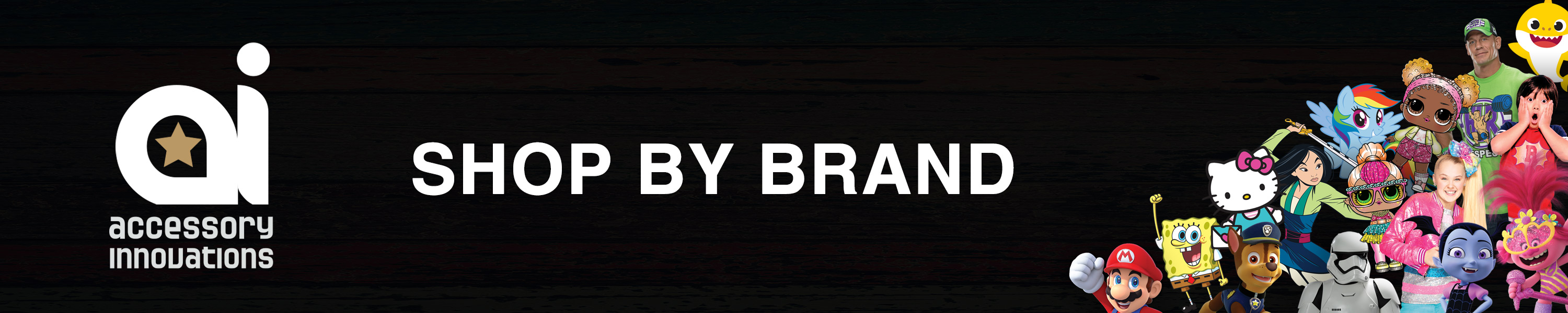 Amazon.com: Accessory Innovations : Brands