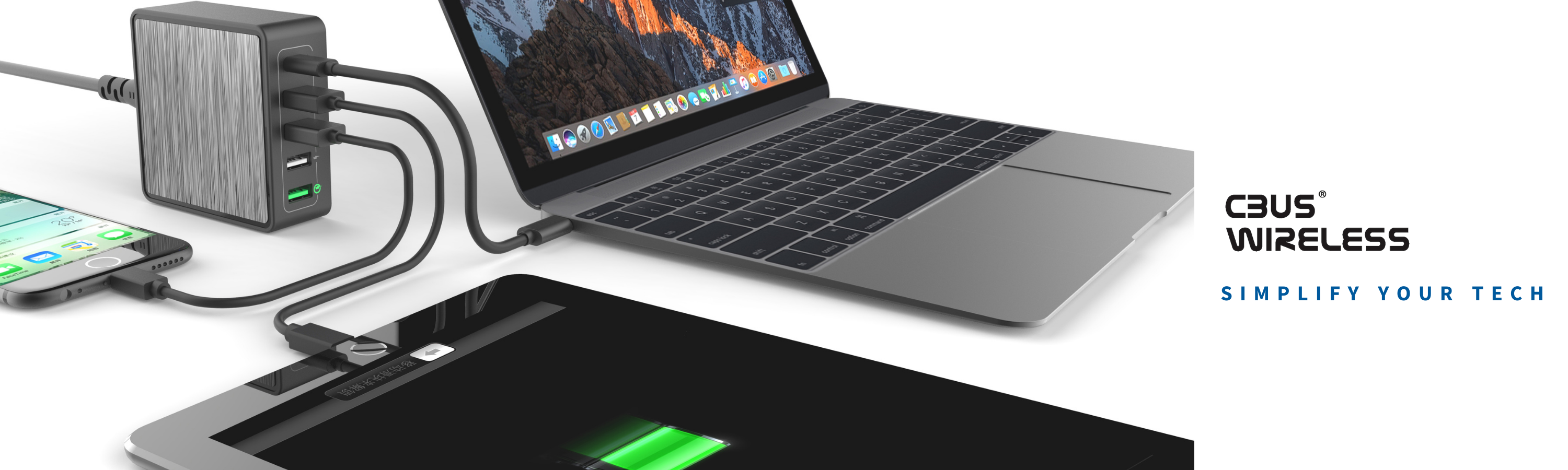 Amazon.com: Cbus Wireless: USB-C to A Cables