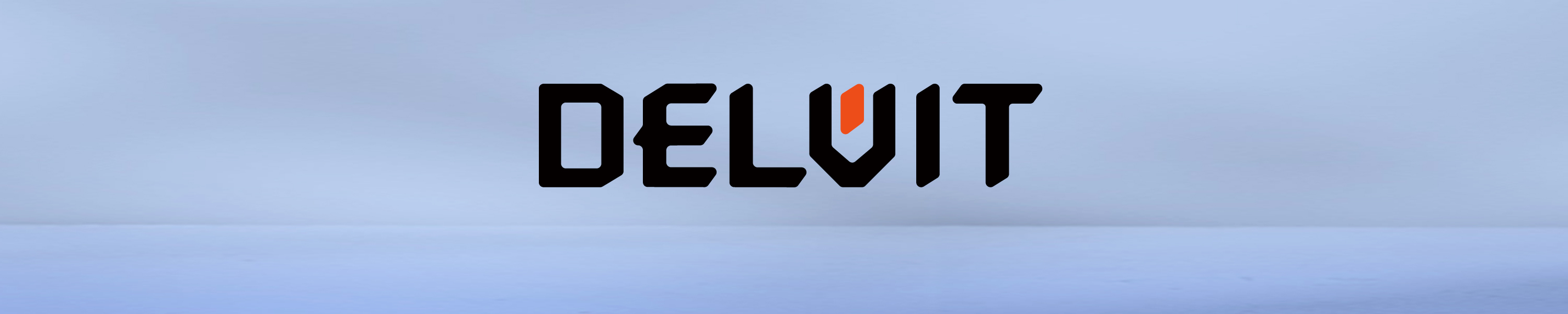 Amazon.com: Delvit