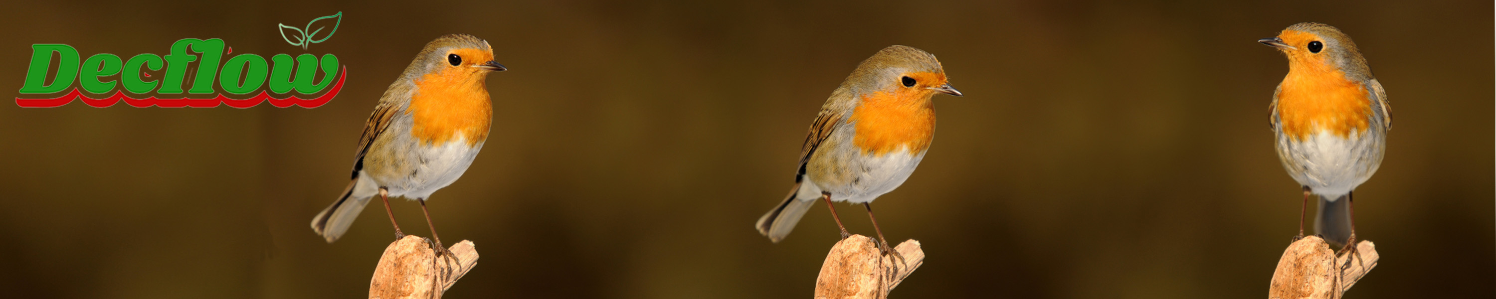 Amazon.com: Decflow: Bird Feeders