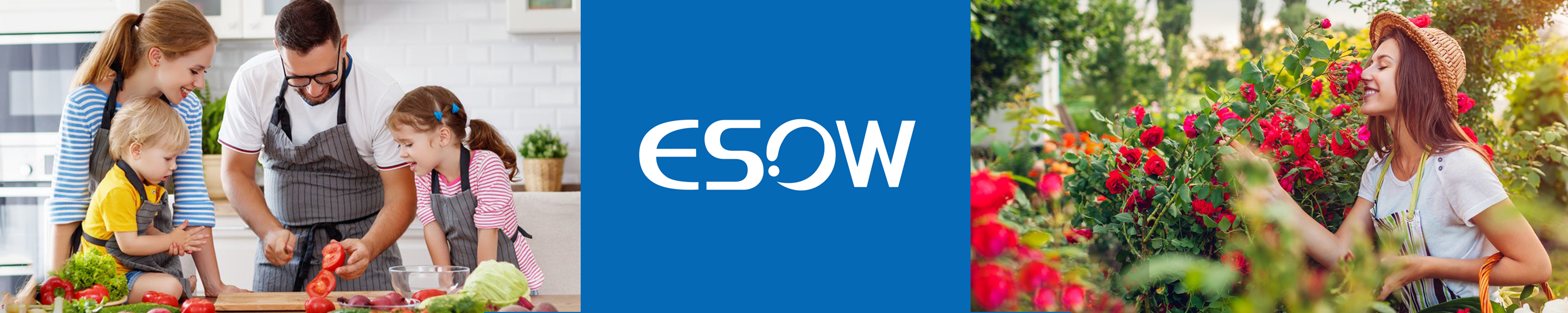 Amazon.com: ESOW