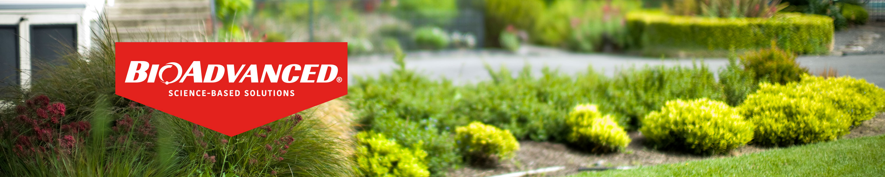 Amazon.com: BioAdvanced: Tree & Shrub