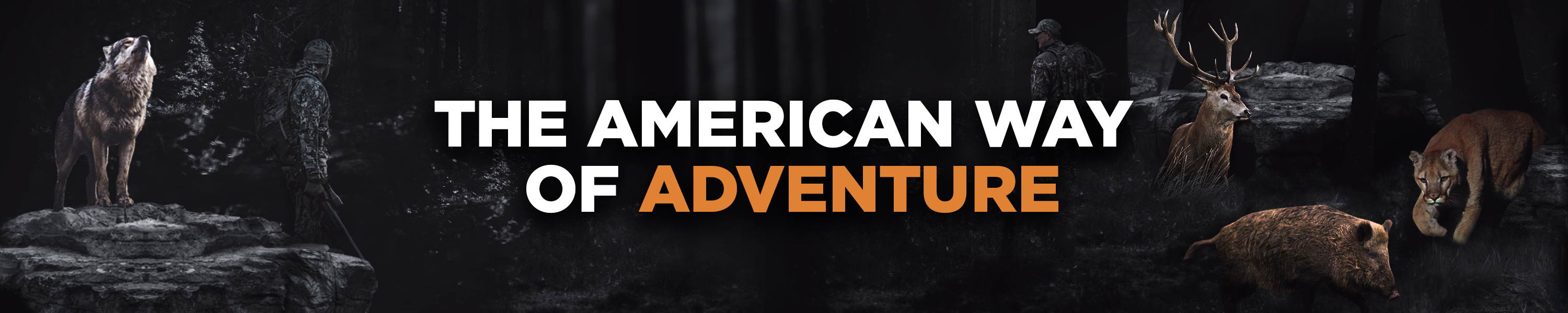 Amazon.com: CREATIVE XP