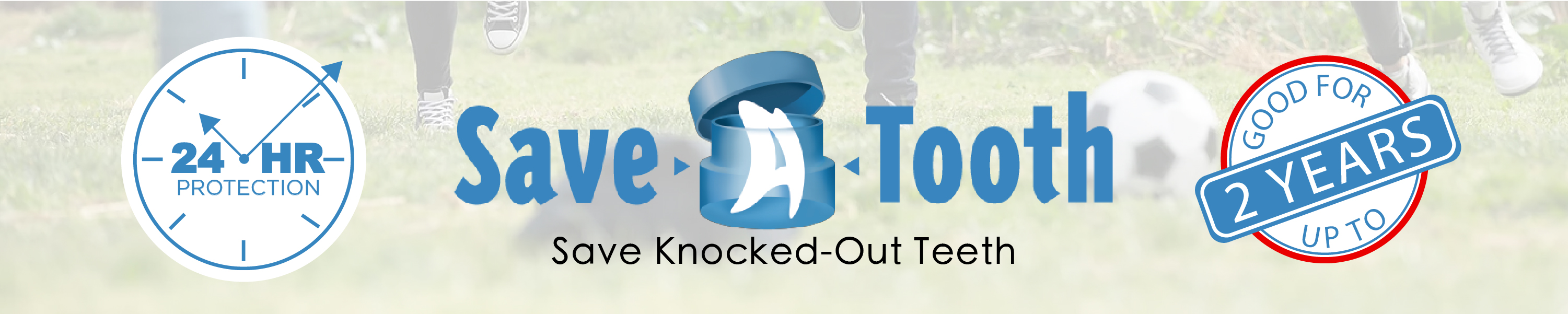 Amazon.com: Save-A-Tooth