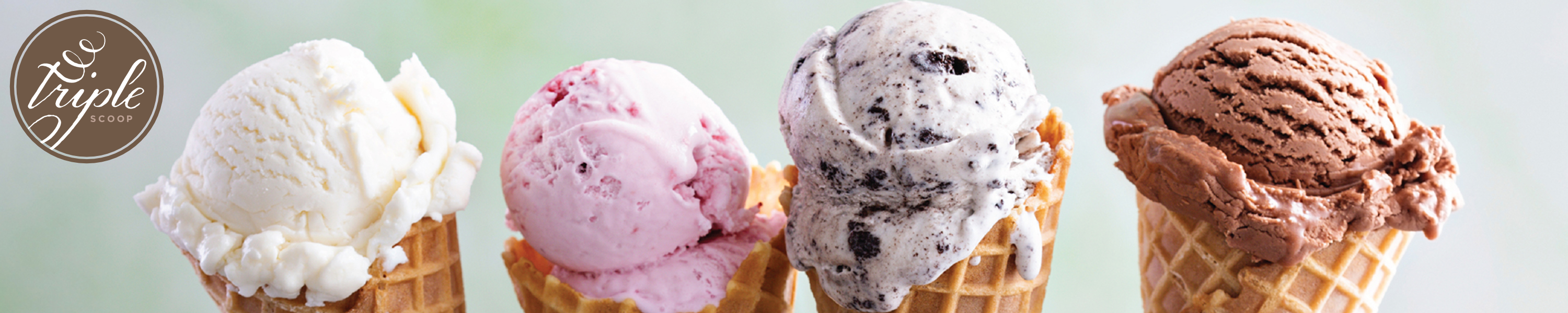 Amazon.com: Triple Scoop