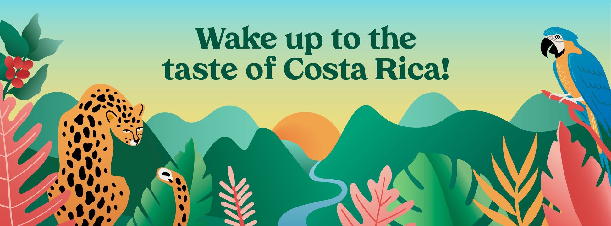 Amazon.com: Liquid Gold Coffee