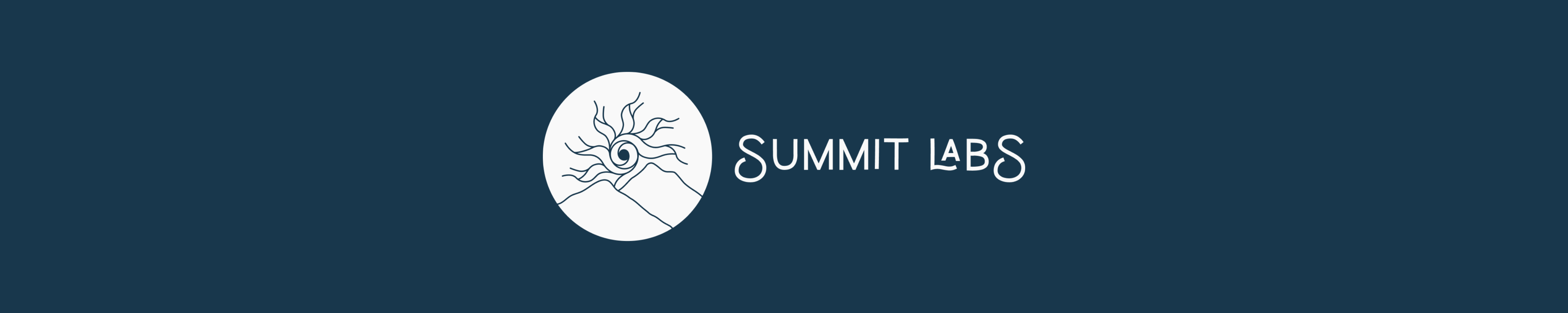 Amazon.com.mx: Summit Labs