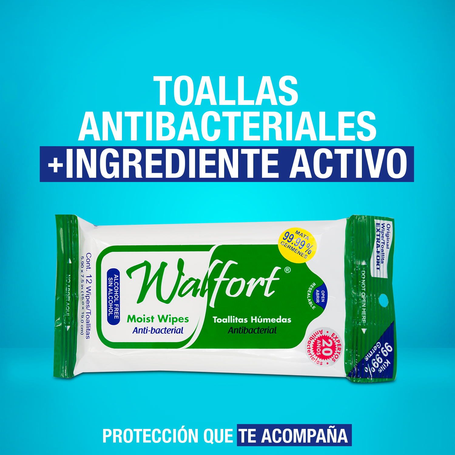 Amazon.com.mx: Walfort®