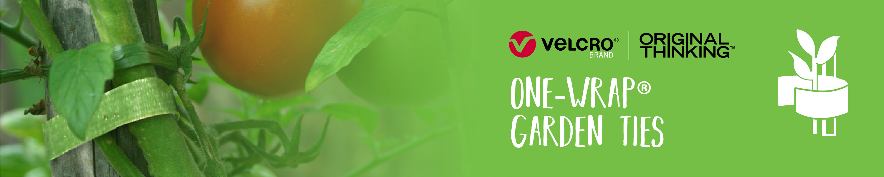 Amazon.ca: Velcro: Garden Ties