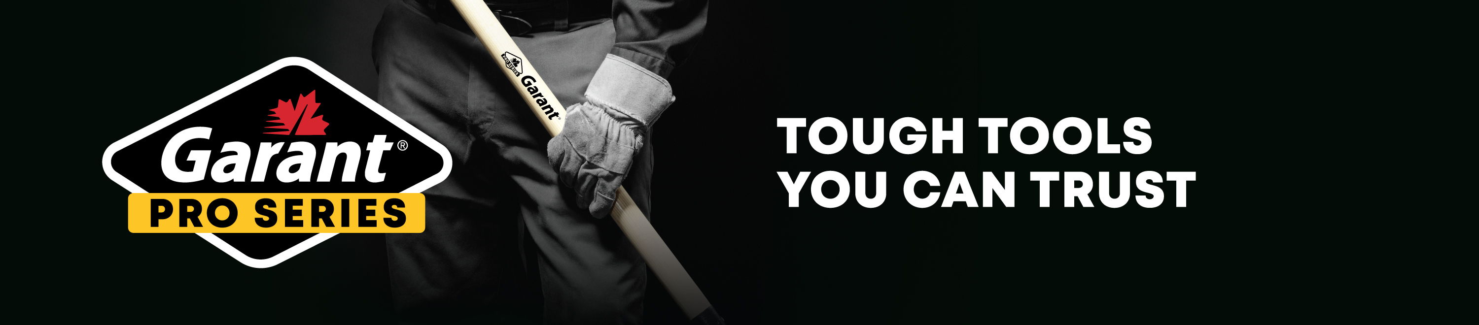 Amazon.ca: Garant: Construction work