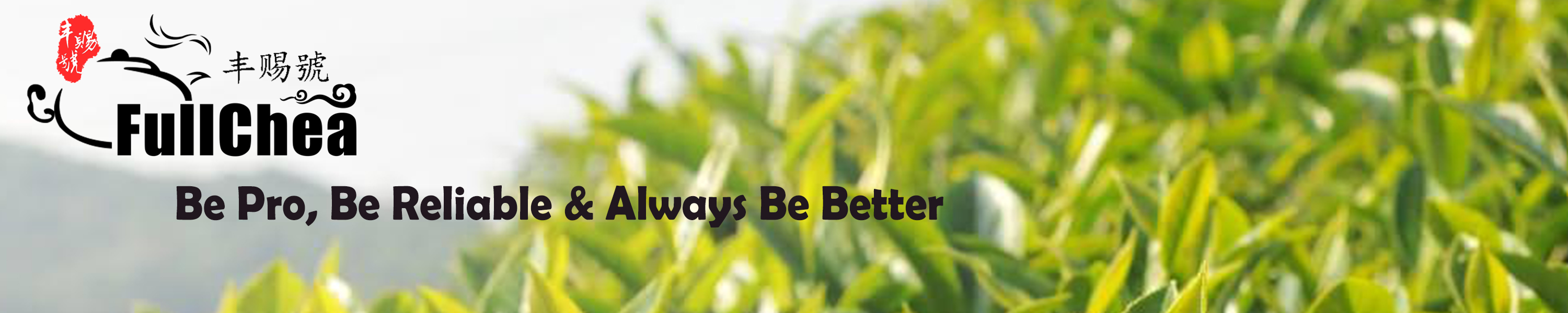 Amazon.ca: FullChea: HERBAL TEA