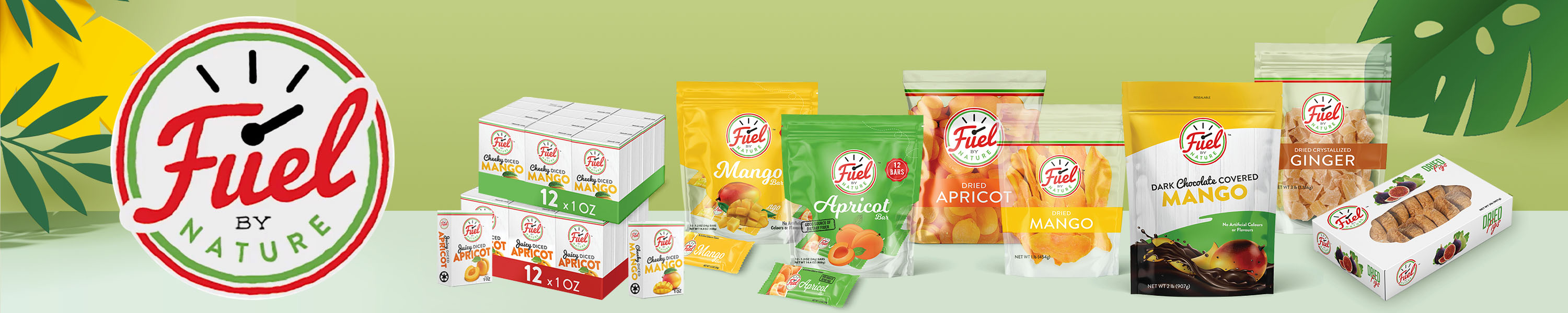 Amazon.com: Fuel by Nature: Mango Bars