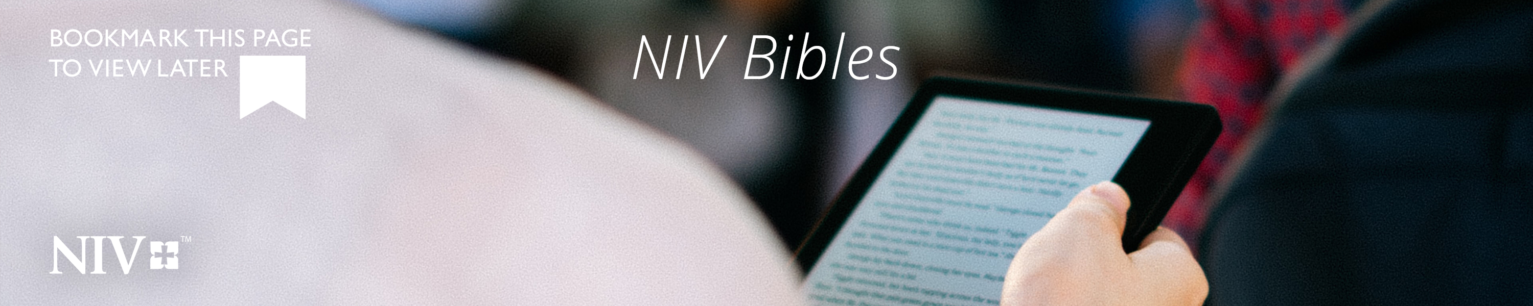 Amazon.com: NIV & NIrV Outreach Bibles: NIV Bibles
