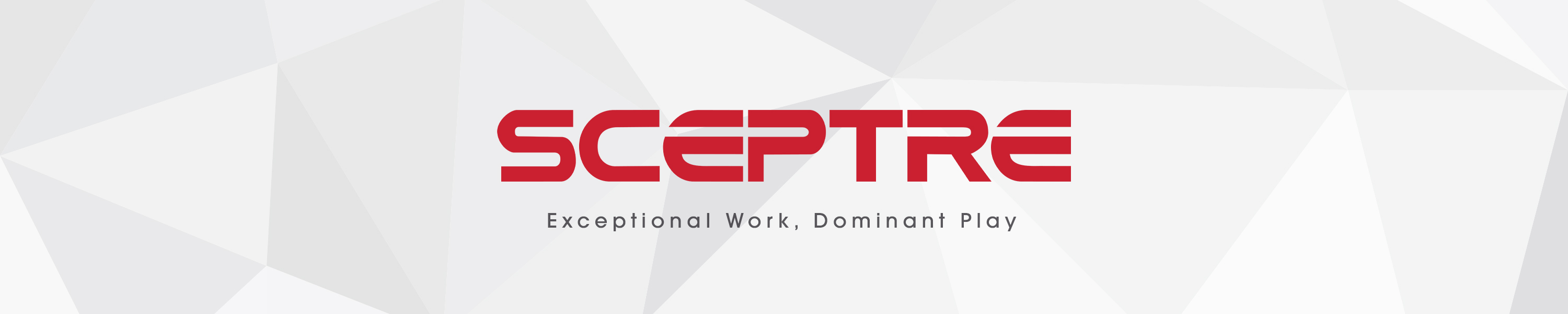 Amazon.com: Sceptre Inc.