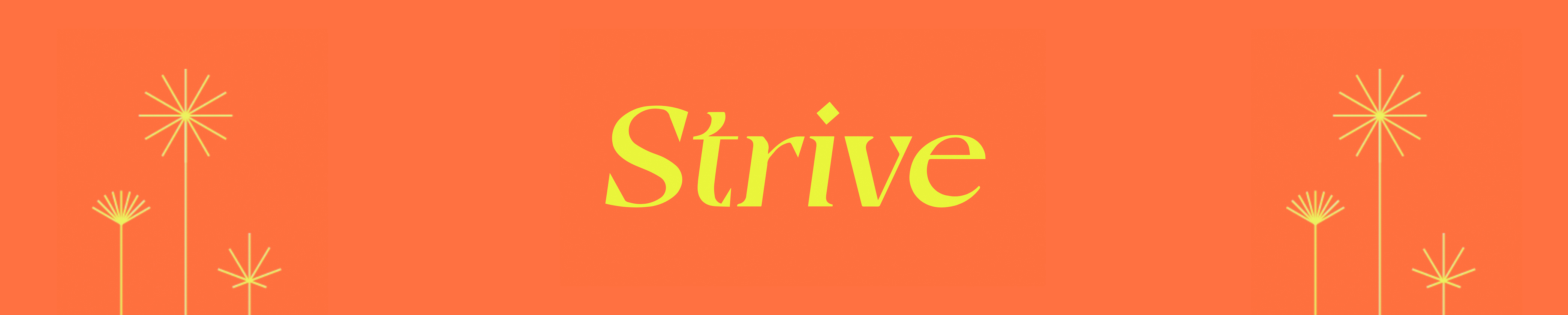 Amazon.com: Strive Nutrients