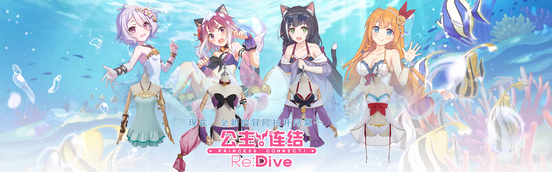 Amazon.com: Weixu: February New