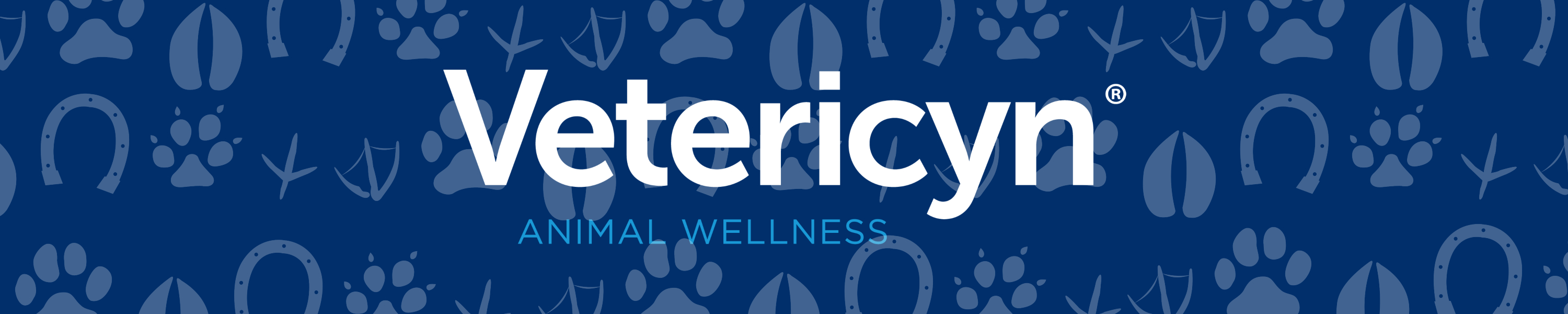 Amazon.com: Vetericyn: Shampoo