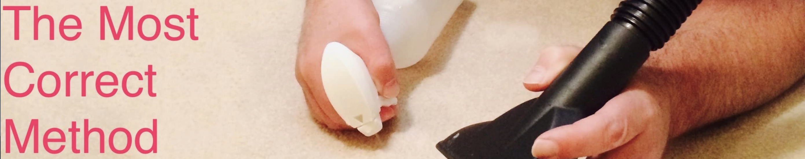 Amazon.com: Spot N' Gone