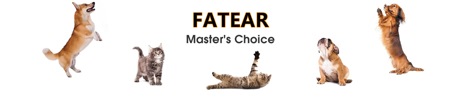 Amazon.com: FATEAR
