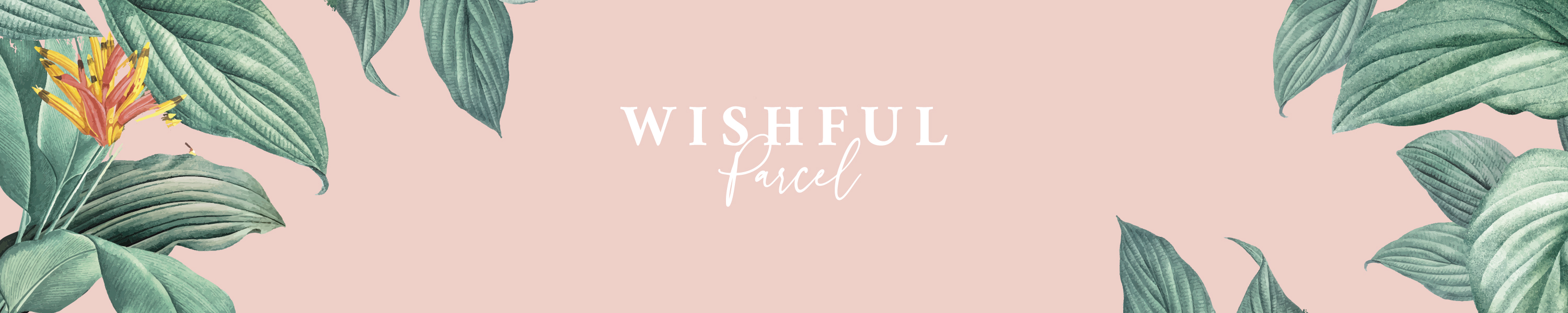 Amazon.com: Wishful Parcel