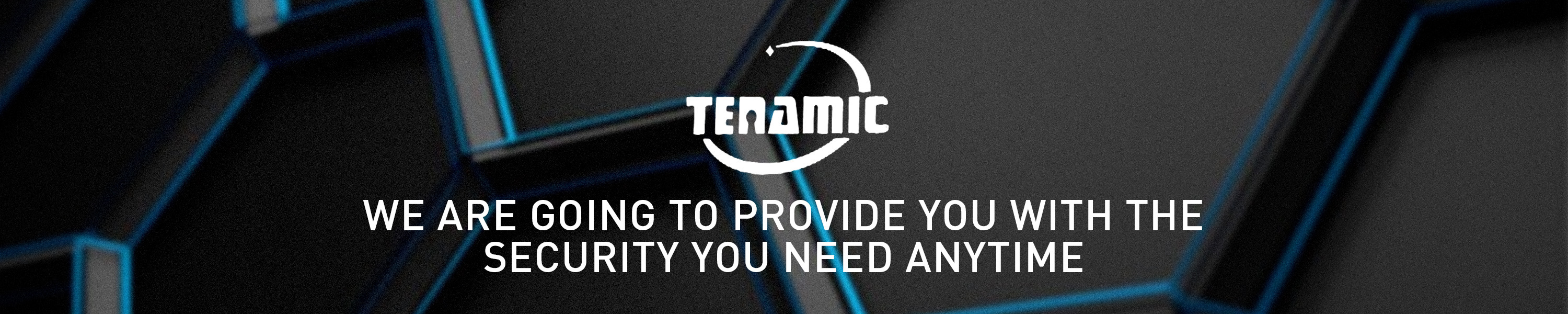 Amazon.com: Tenamic: TE SERIES SAFE