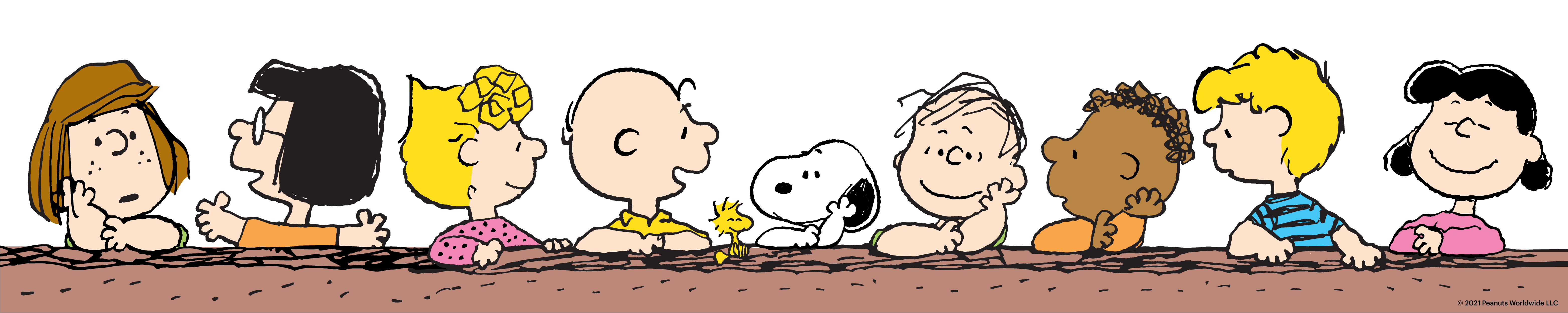 Amazon.com: Fetch for Pets: Peanuts