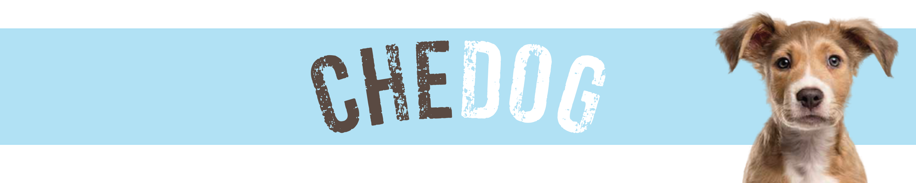 Amazon.com: Che Dog | Dog Chews: JERKY