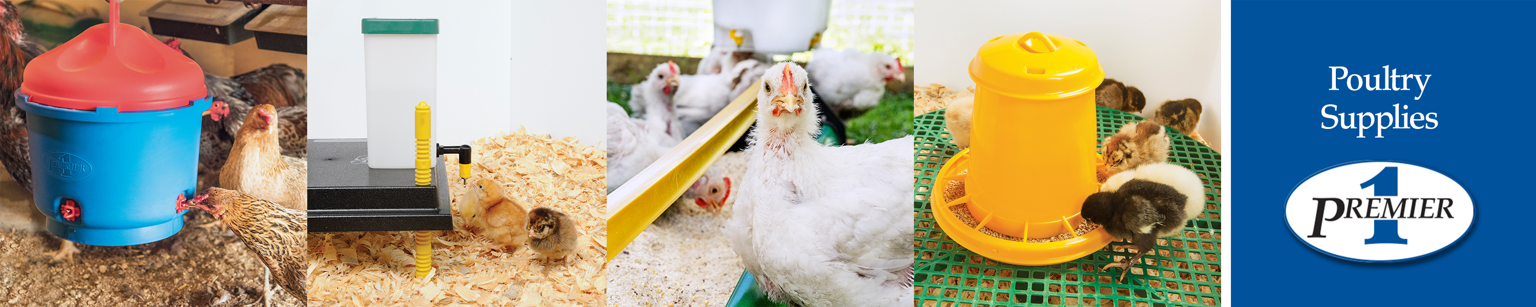 Amazon.com: Premier 1 Supplies: Poultry Supplies