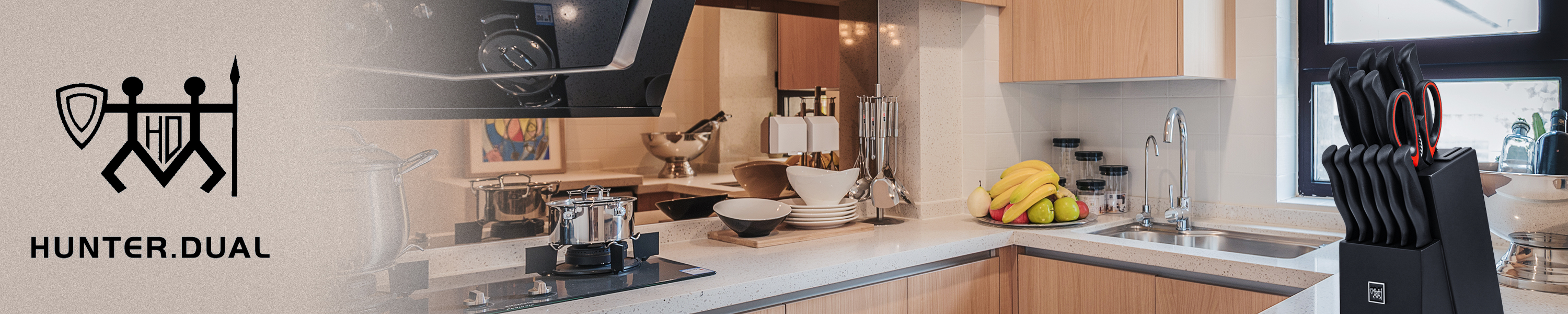 Amazon.com: HUNTER DUAL