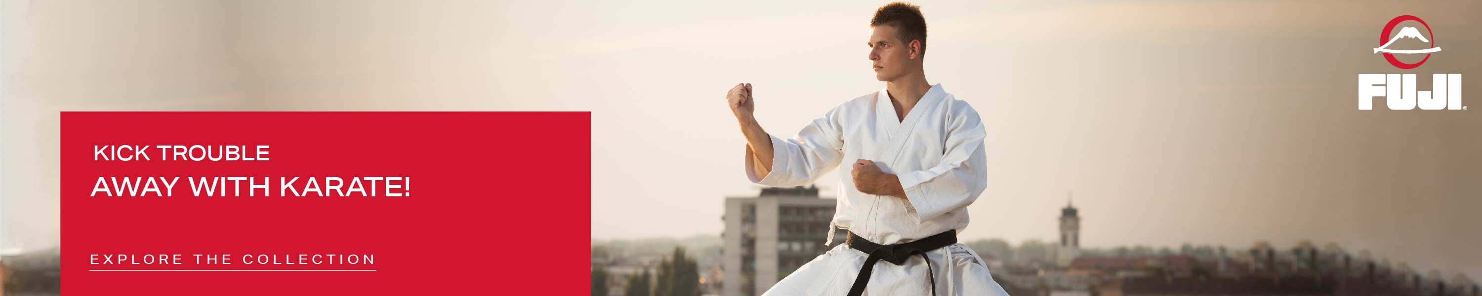 Amazon.com: Fuji: Karate