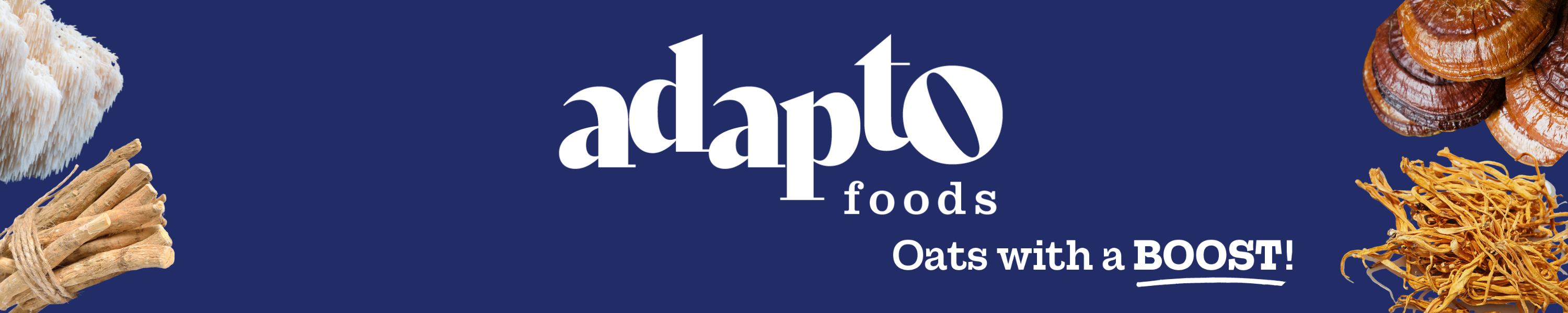 Amazon.com: Adapto Foods