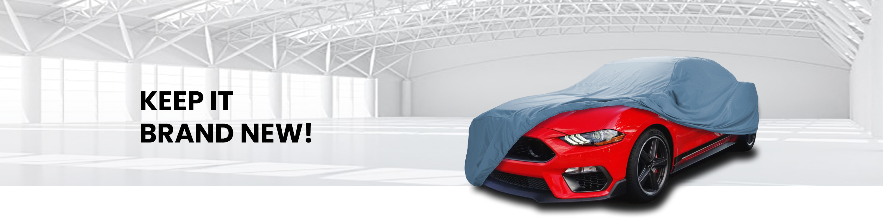 Amazon.com: iCarCover