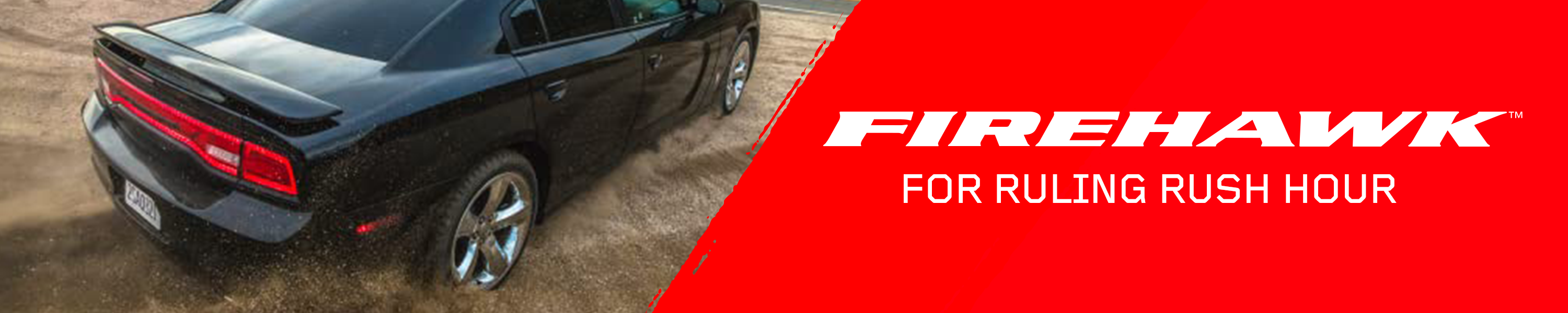 Amazon.com: Firestone: Firehawk