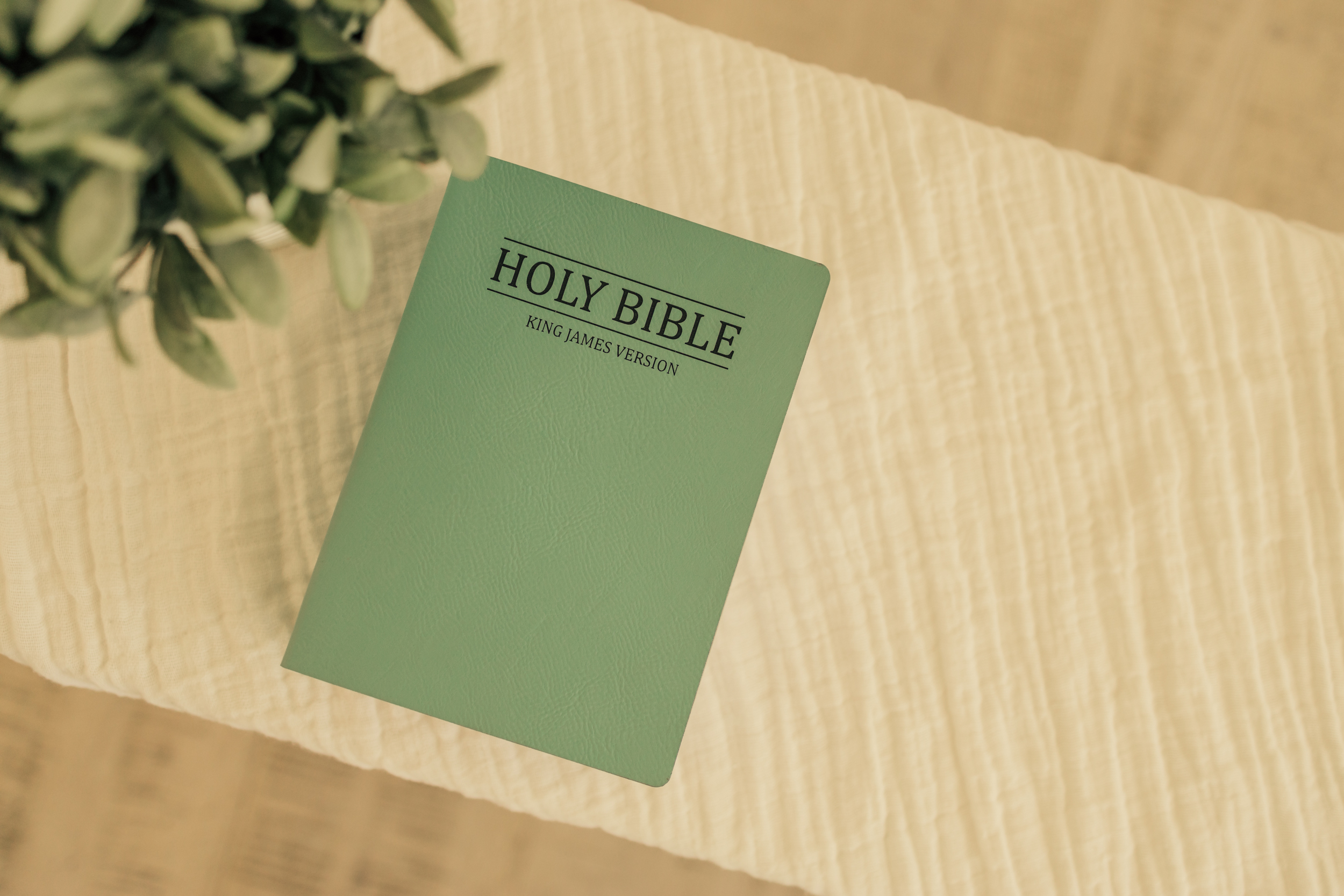 Amazon.com: LDS Bookstore: Leatherette Bibles