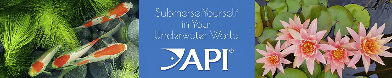 Amazon.com: API: Pond