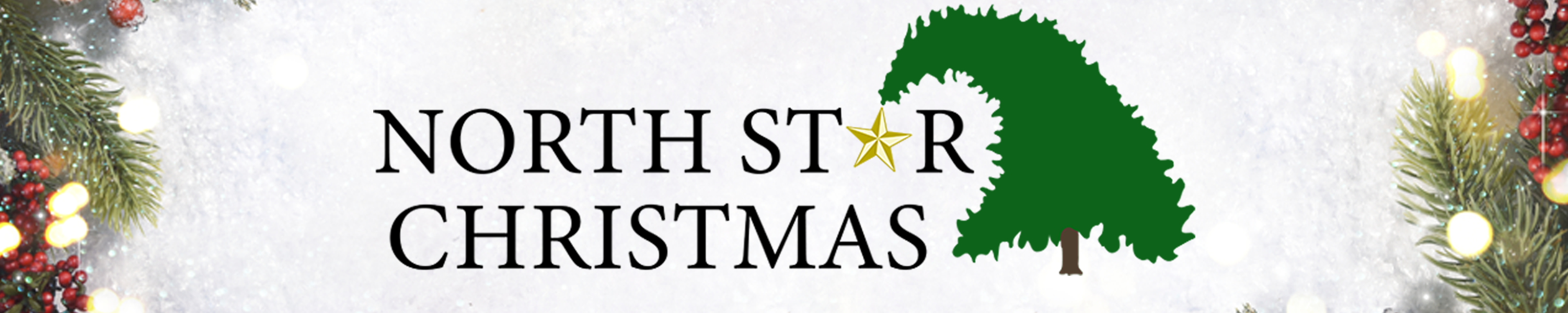 Amazon.com: North Star Christmas: Baby