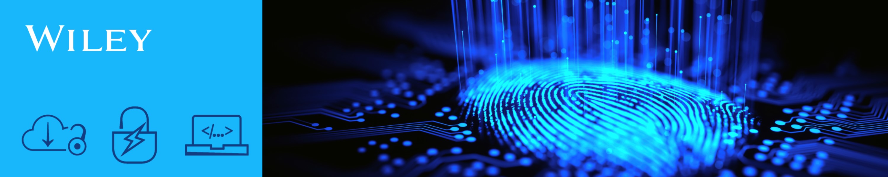 Amazon.com: Wiley Security: AI & Security