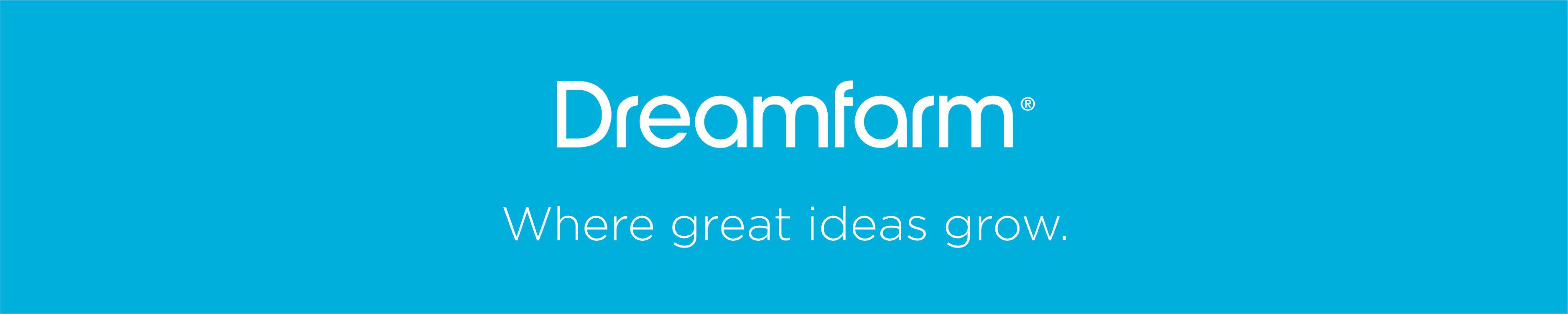 Amazon.com: Dreamfarm: Baking Tools