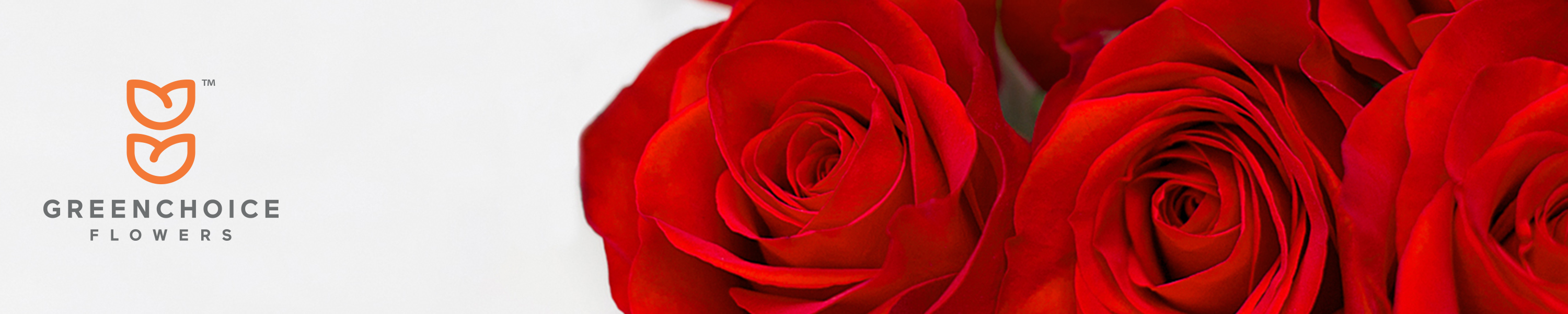 Amazon.com: Greenchoice Flowers